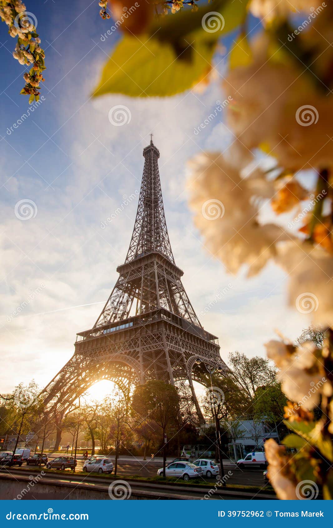 Eiffel Tower with Spring Tree in Paris, France Stock Photo - Image of ...