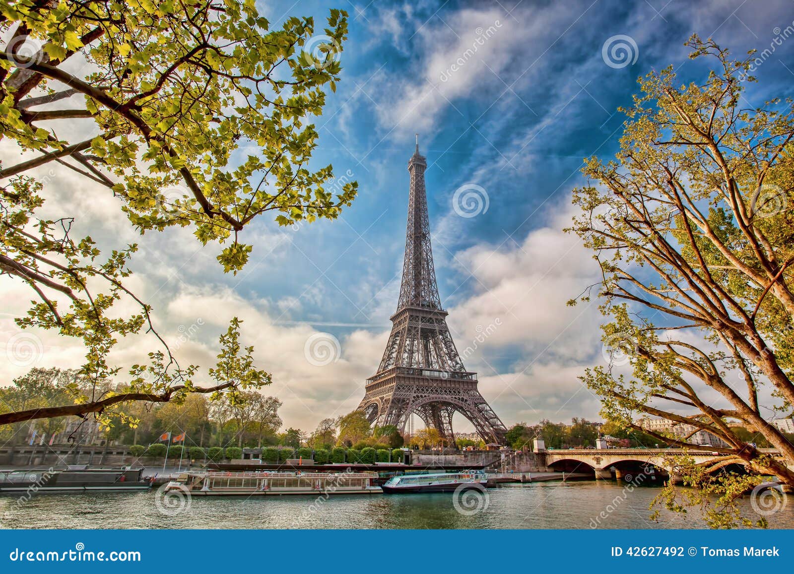 Eiffel Tower with Spring Tree in Paris, France Stock Photo - Image of ...