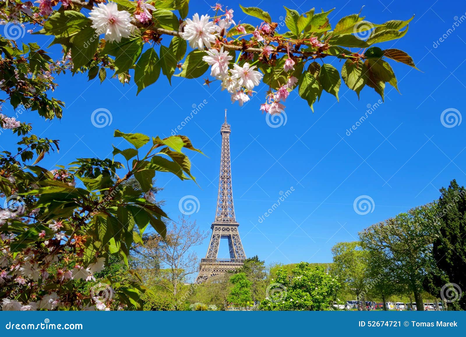 Eiffel Tower with Spring Tree in Paris, France Stock Image - Image of ...