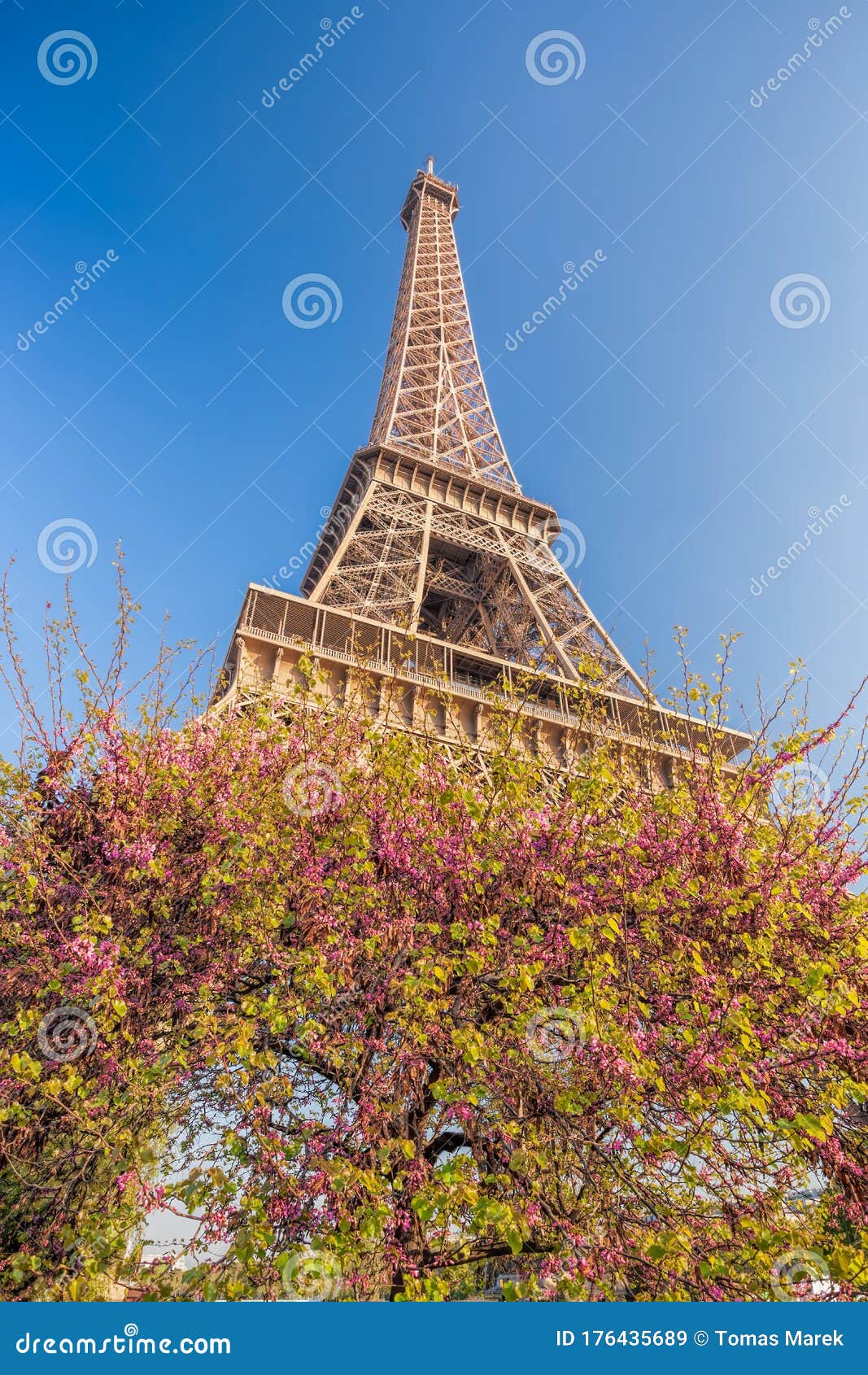 Eiffel Tower with Spring Trees in Paris, France Stock Image - Image of ...