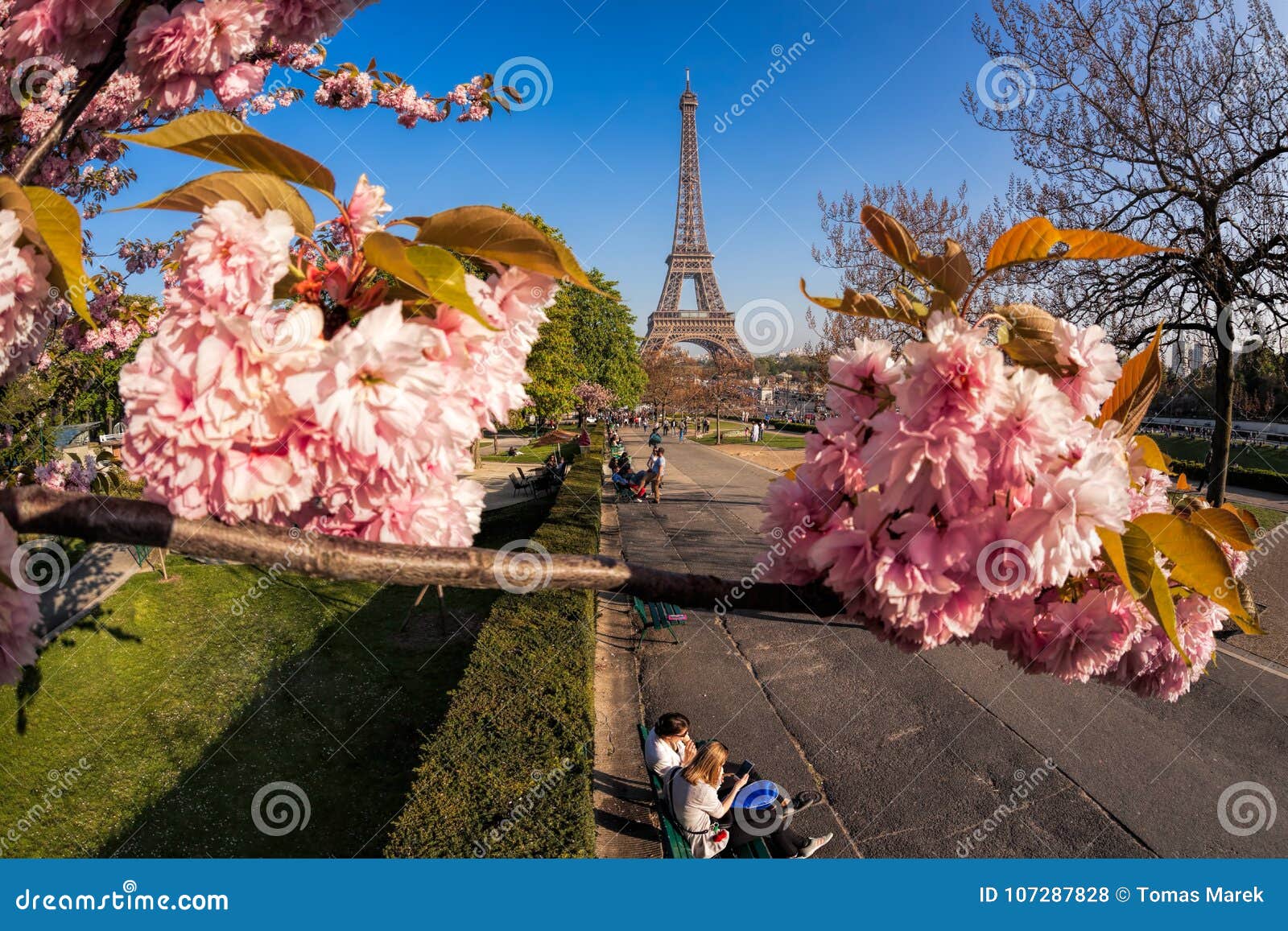 Eiffel Tower with Spring Trees in Paris, France Editorial Stock Photo ... Eiffel Tower with Spring Trees in Paris, France Editorial Stock Photo ...