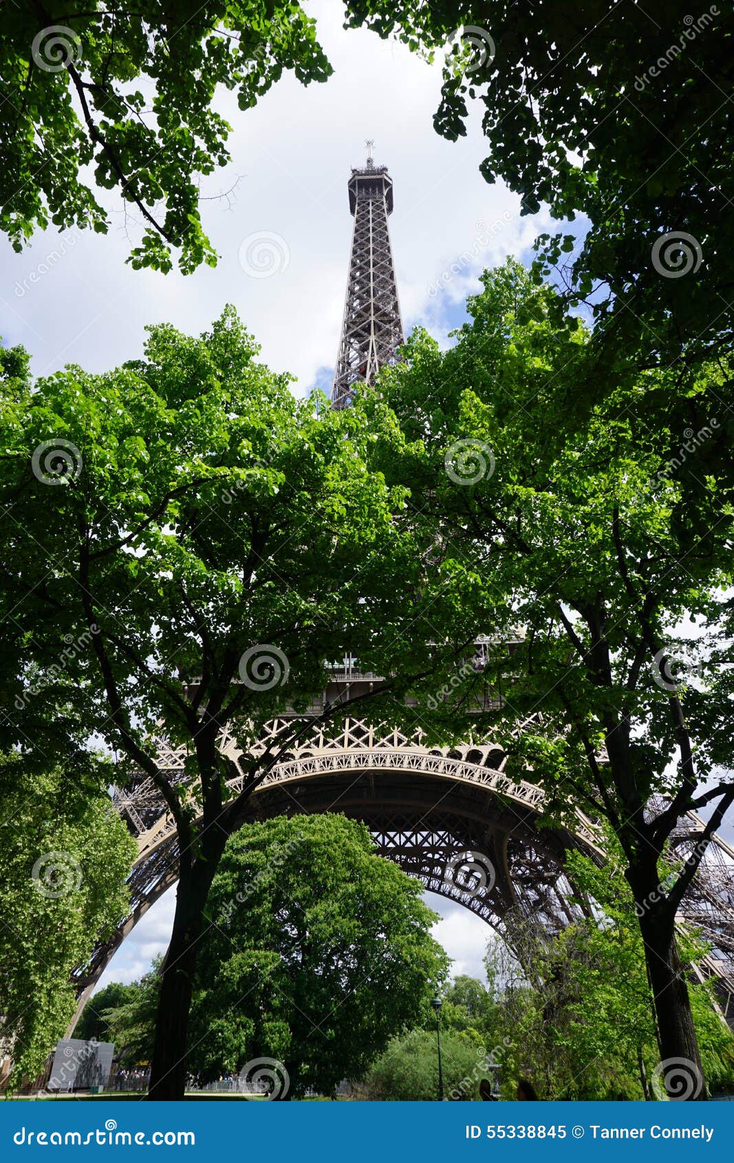 The Eiffel Tower with Trees Stock Image - Image of tower, hidden: 55338845