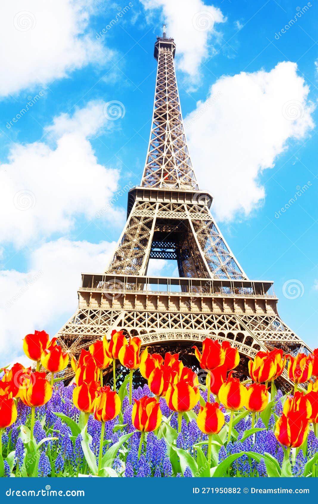 Eiffel Tower at Spring, Paris Stock Photo - Image of city, tree: 271950882