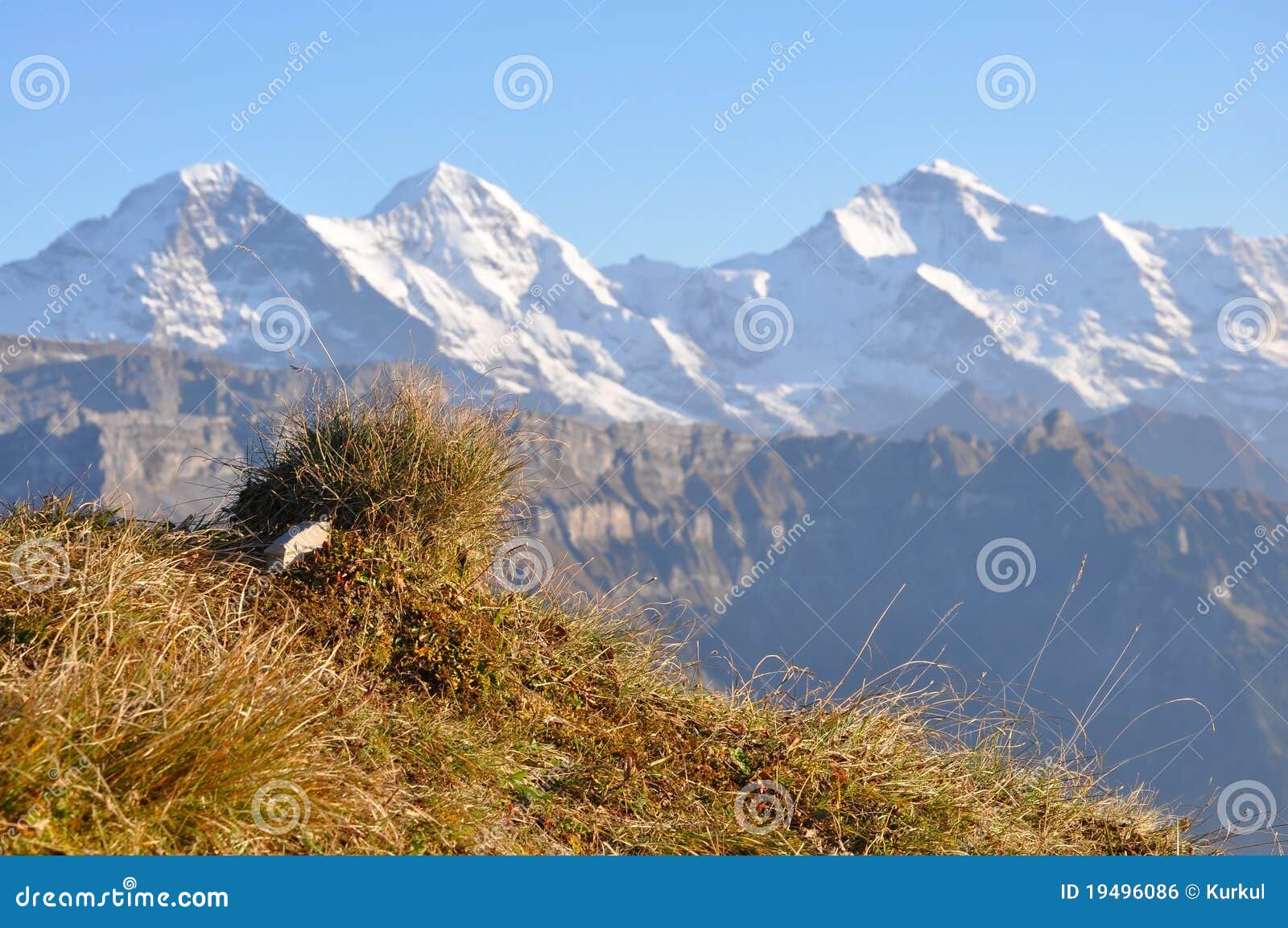 Eiger-Monch-Jungfrau stock photo. Image of grass, jungfrau - 19496086 Eiger-Monch-Jungfrau stock photo. Image of grass, jungfrau - 19496086