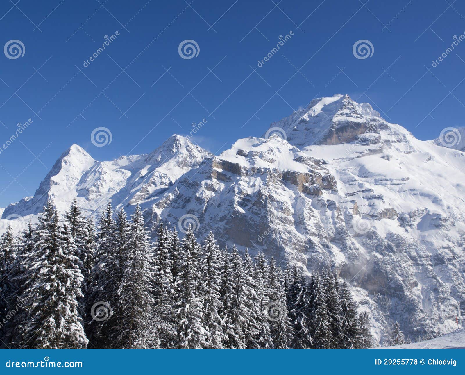 Eiger, Monch and Jungfrau in Winter Stock Photo - Image of forest ...