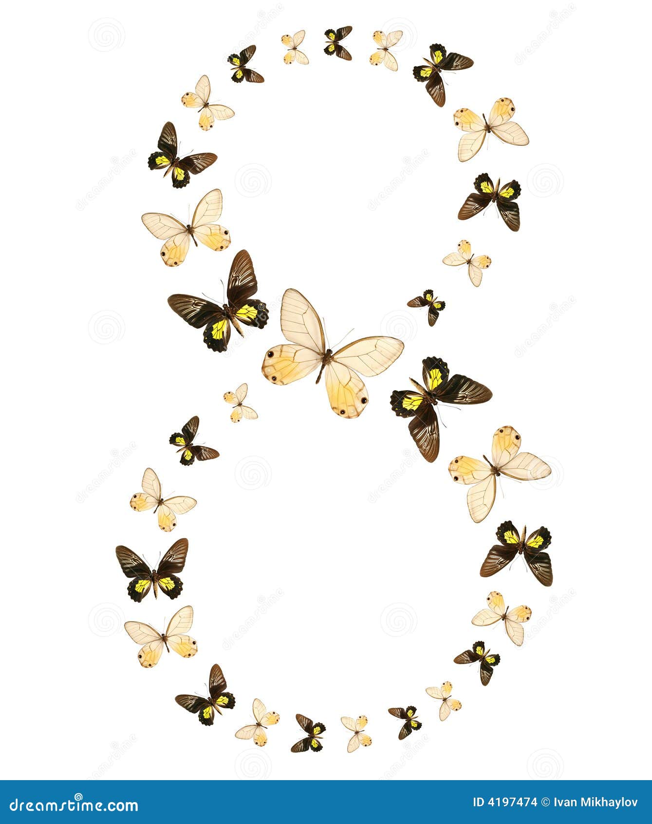 Eight Of Morpho Butterflies Cartoon Vector | CartoonDealer.com #78177277