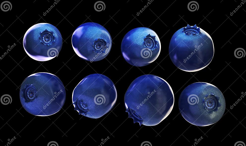 Eight Blueberries with Clipping Path Stock Illustration - Illustration ...