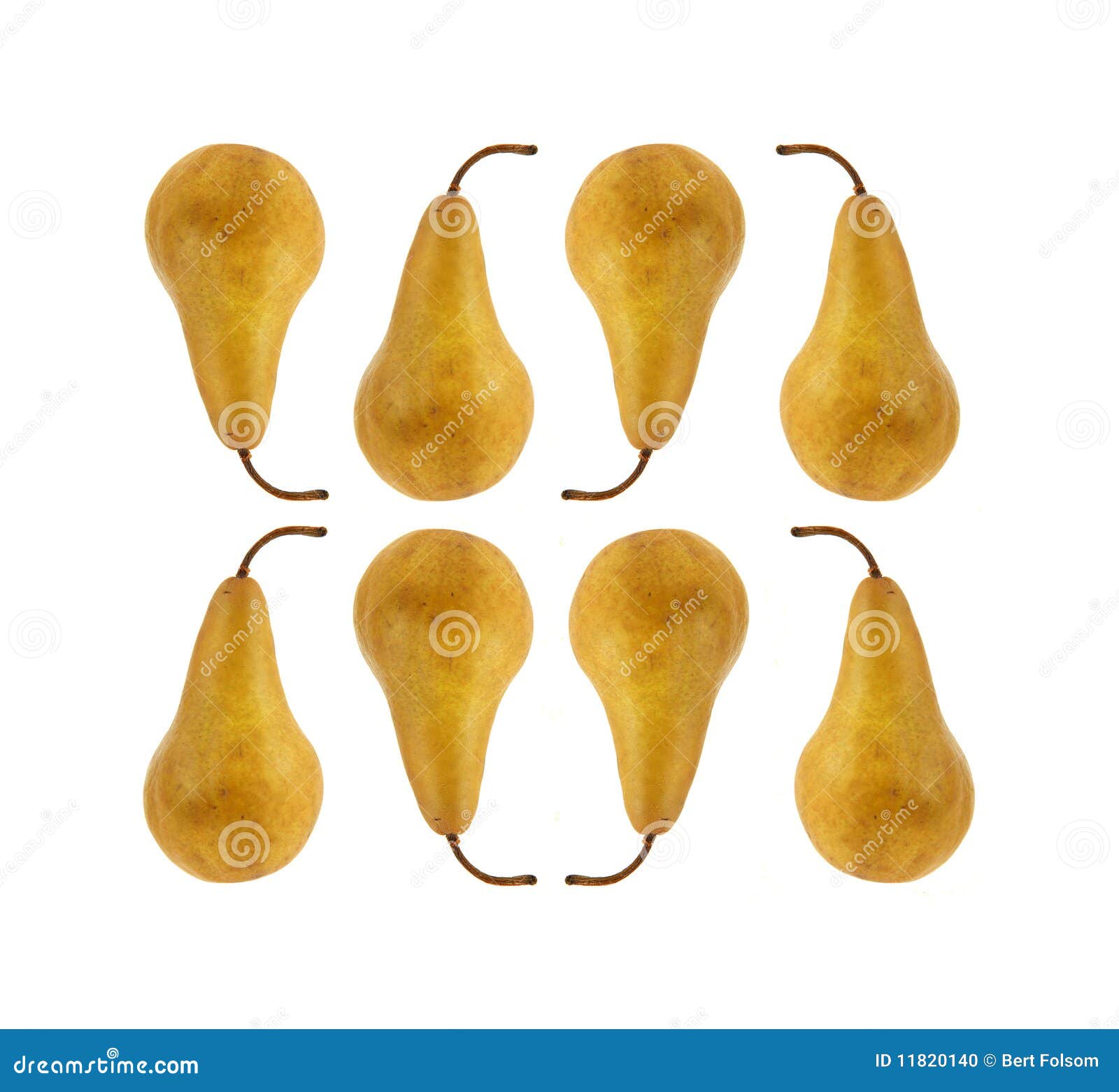 Eight Bosc Pears Stock Photo - Image: 11820140