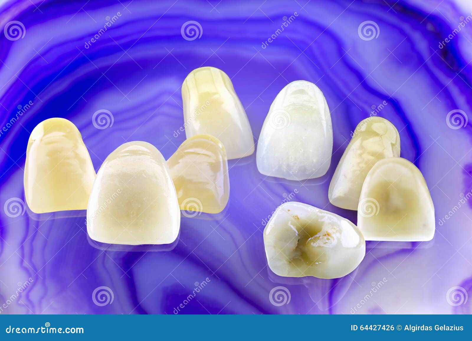 Eight ceramic dentures stock photo. Image of alloy, caries - 64427426