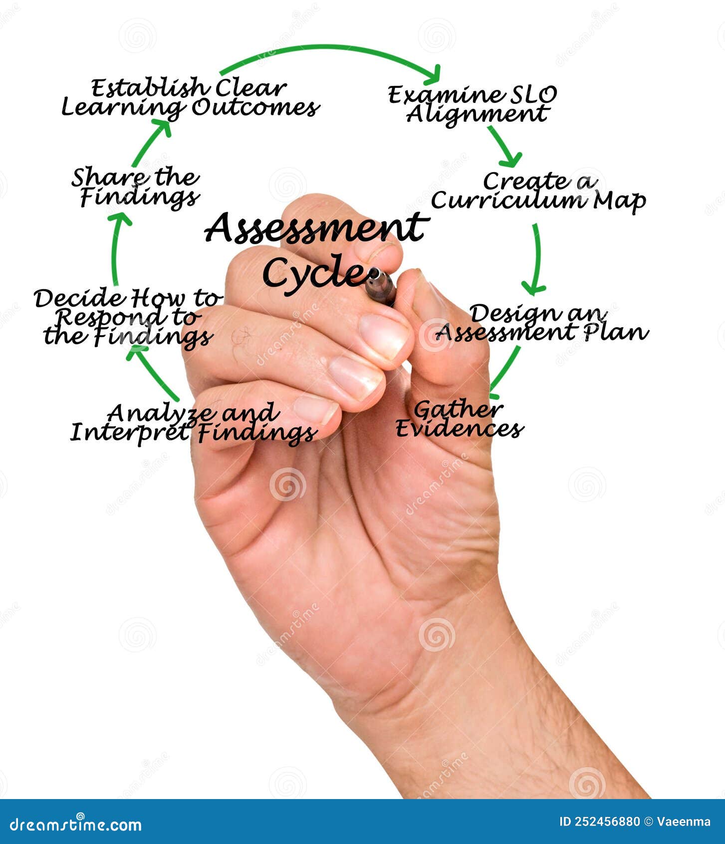 Components of Assessment Cycle Stock Photo - Image of assessment, clear ...