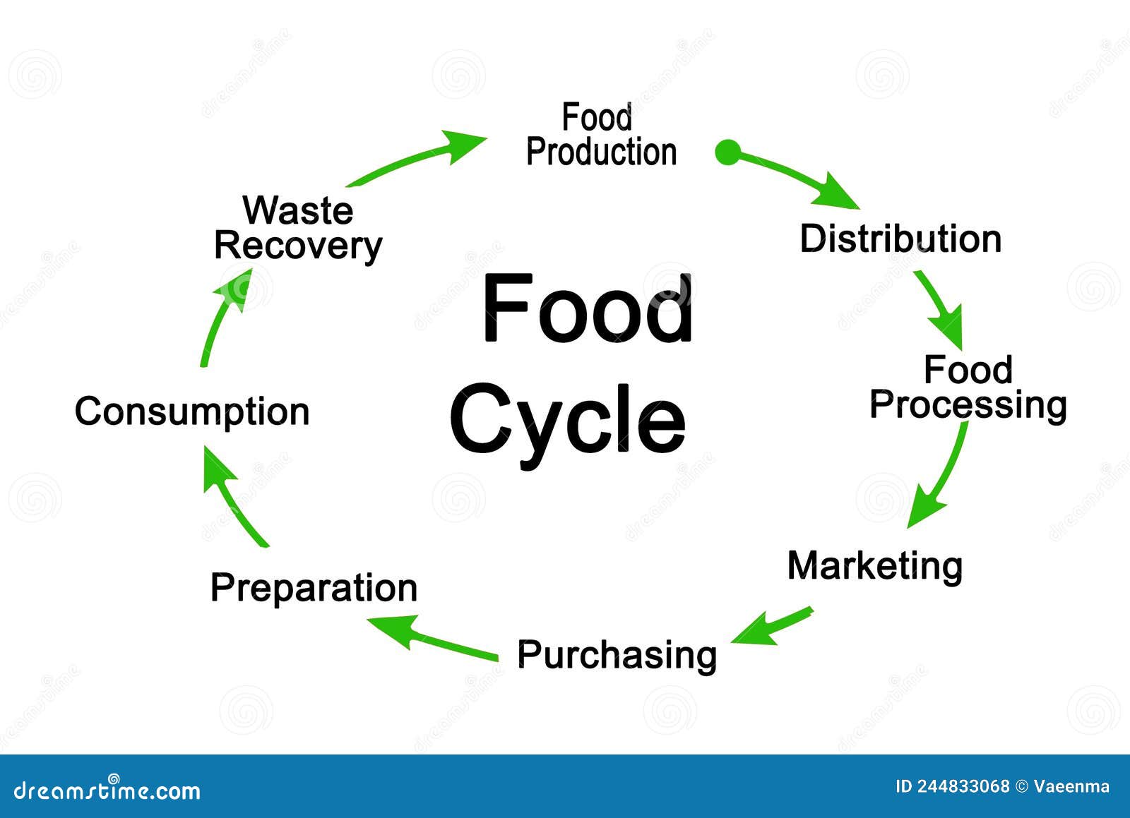 Components of Food System stock illustration. Illustration of system ...