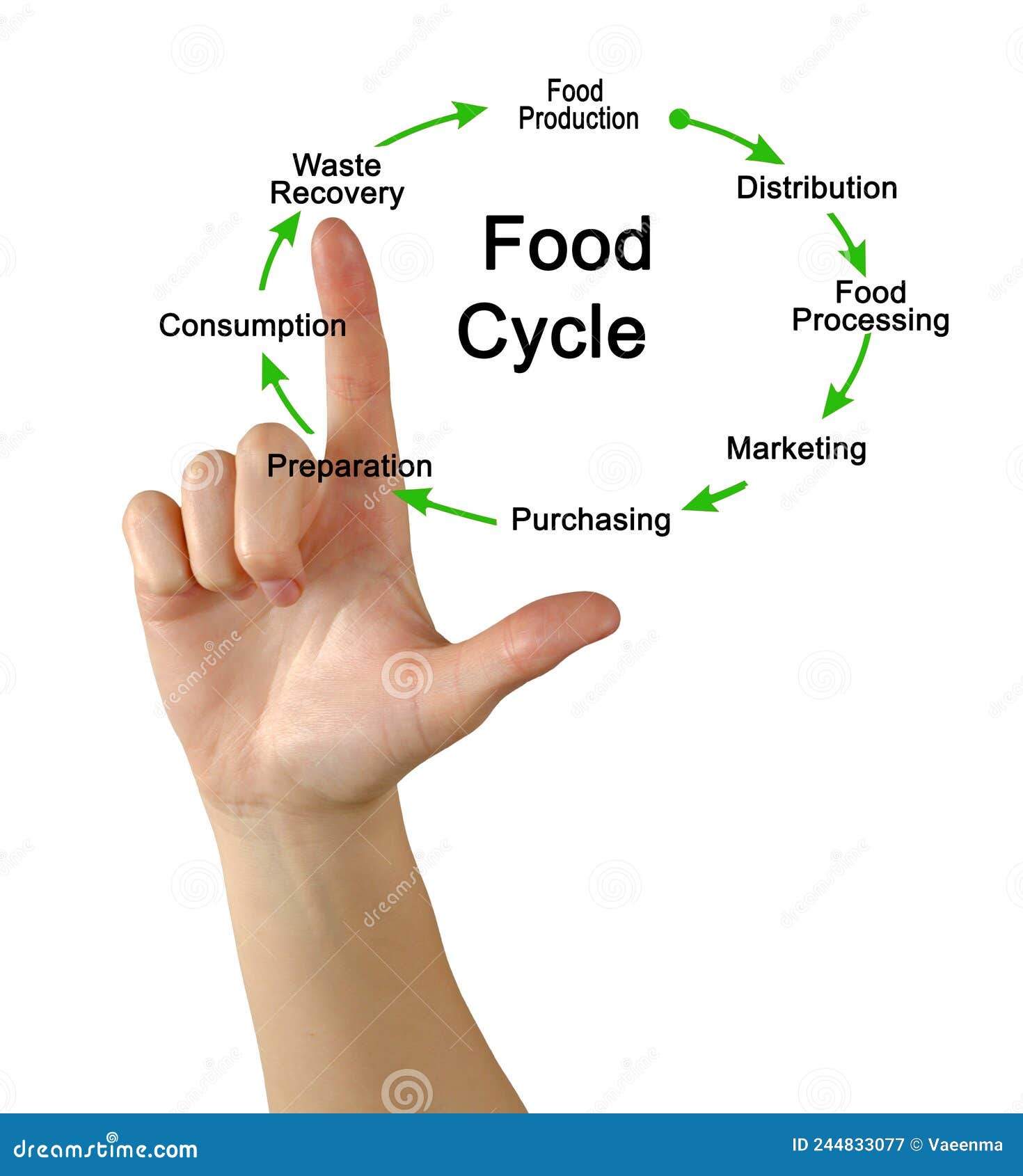 Components of Food System stock image. Image of hand - 244833077