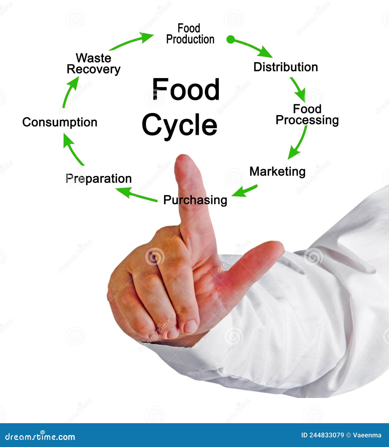 Components of Food System stock image. Image of components - 244833079