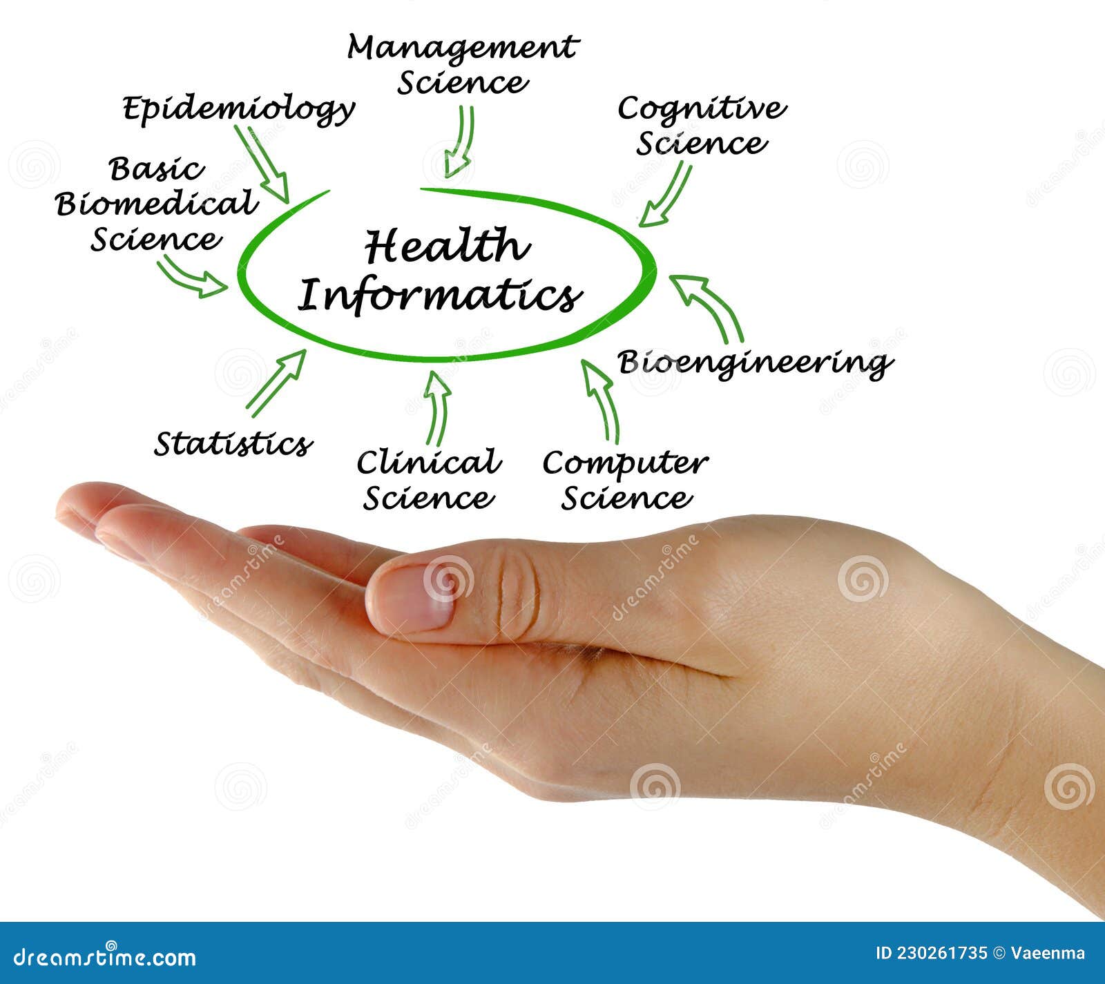 Components of Health Informatics Stock Illustration - Illustration of ...