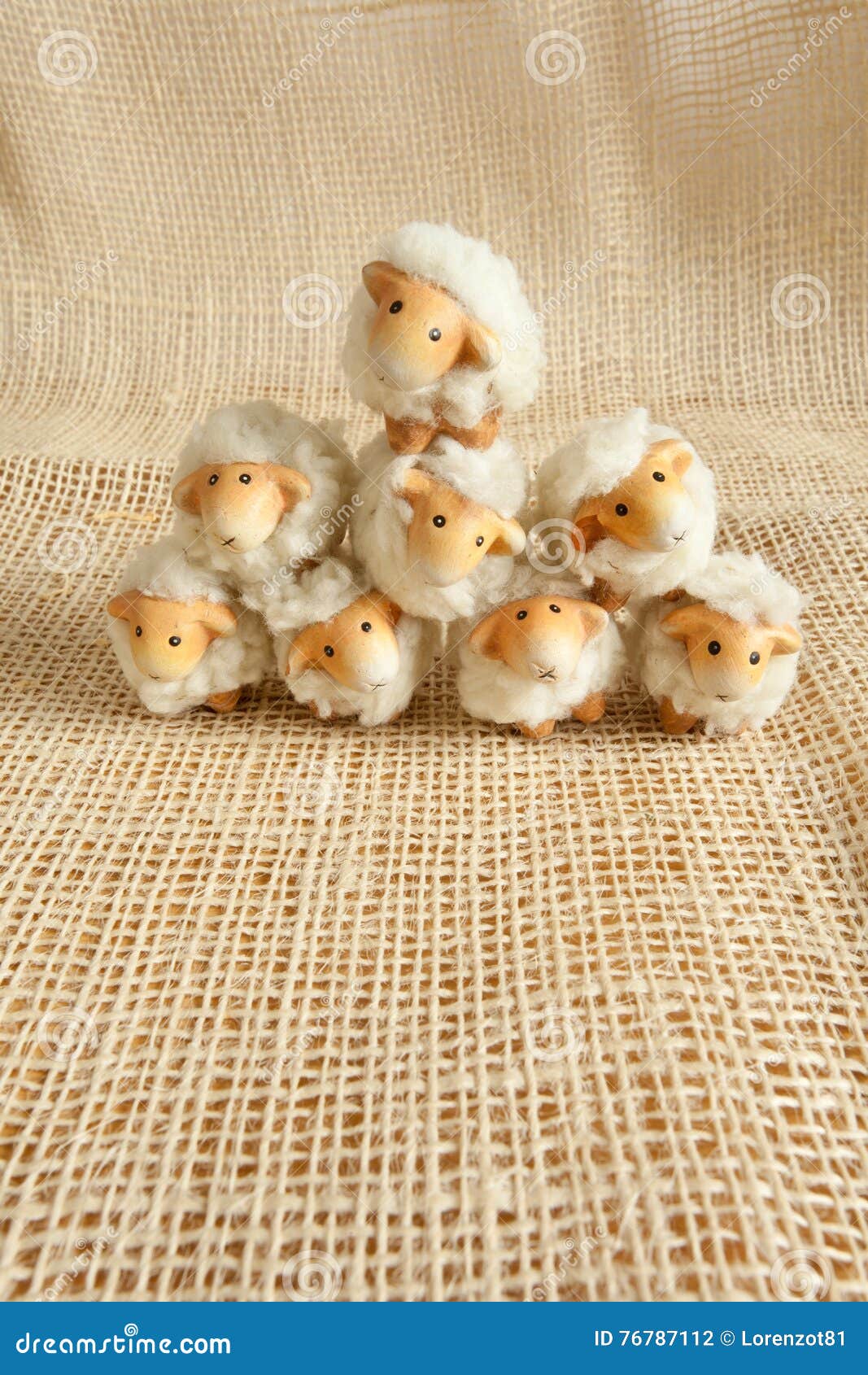 Eight Cute Sheep Playing Together in the Farm Stock Photo - Image of ...