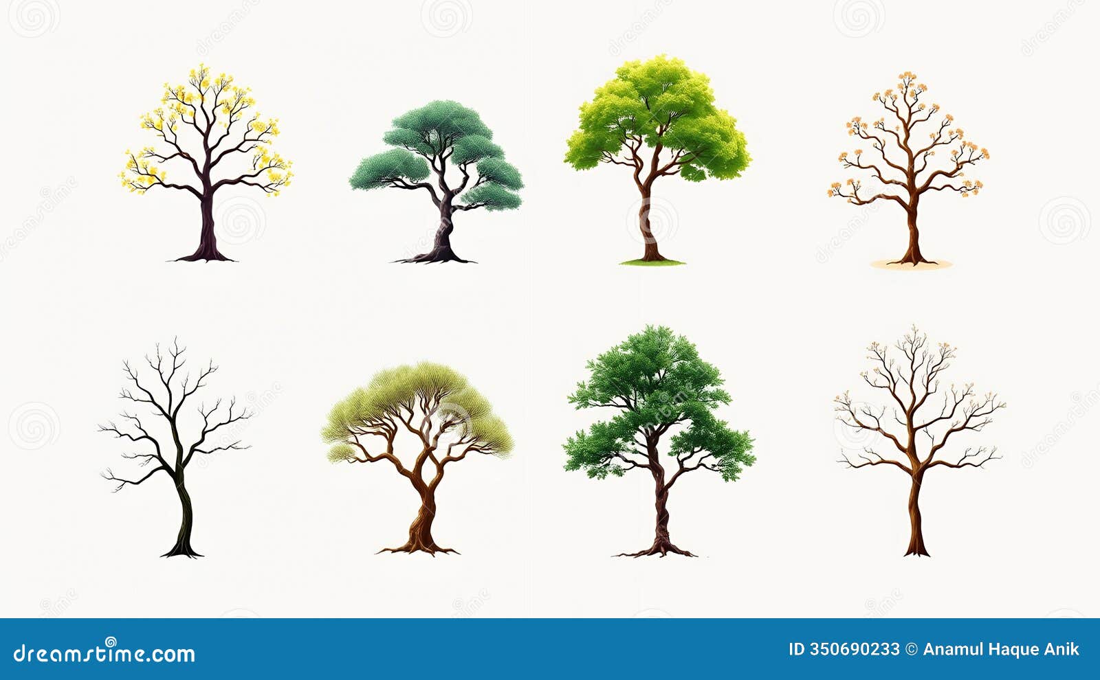 Eight Different Trees in Various Stages of Growth Stock Illustration ...
