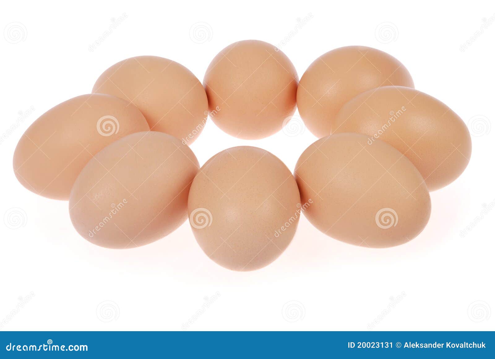 Eight eggs stock image. Image of eight, hens, isolation - 20023131