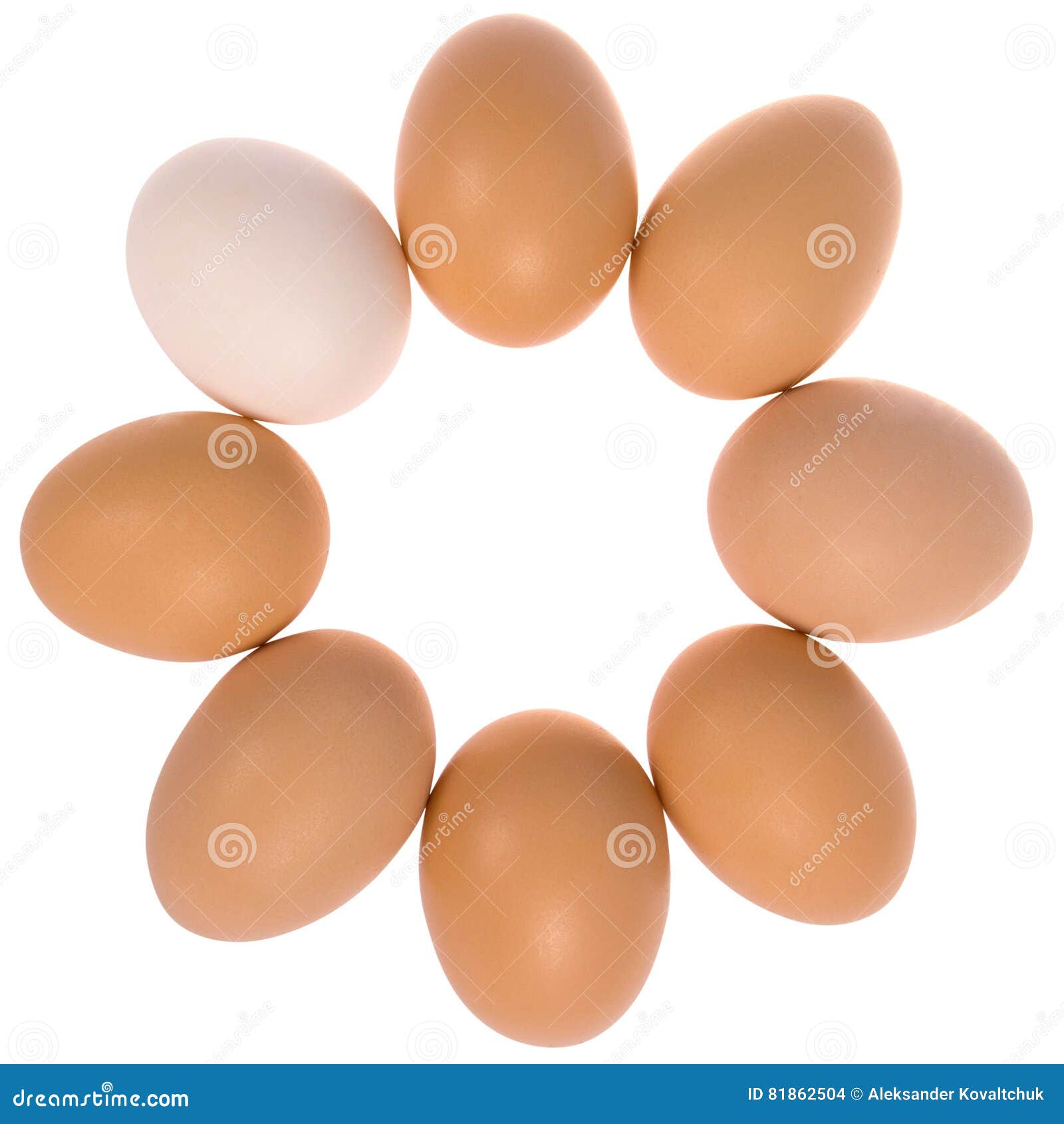 Eight Eggs in Circle. One Egg White Stock Photo - Image of ellipse ...