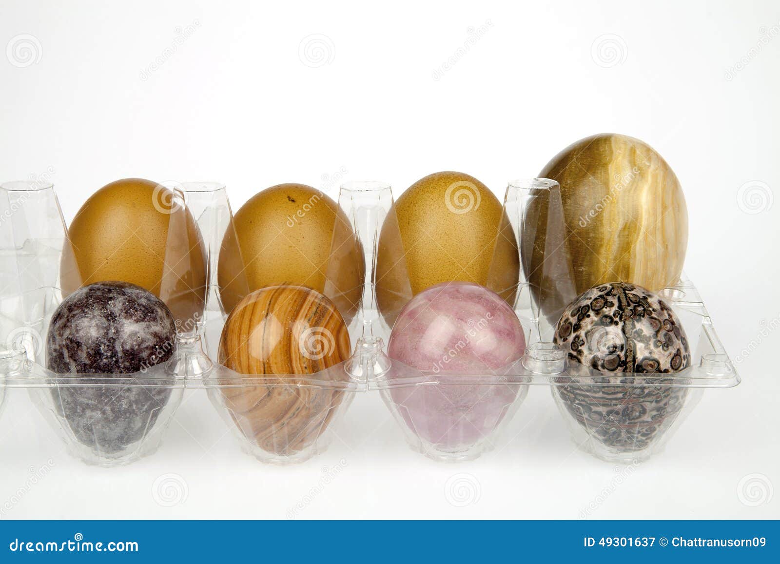 Eight eggs stock image. Image of colours, growing, colors - 49301637