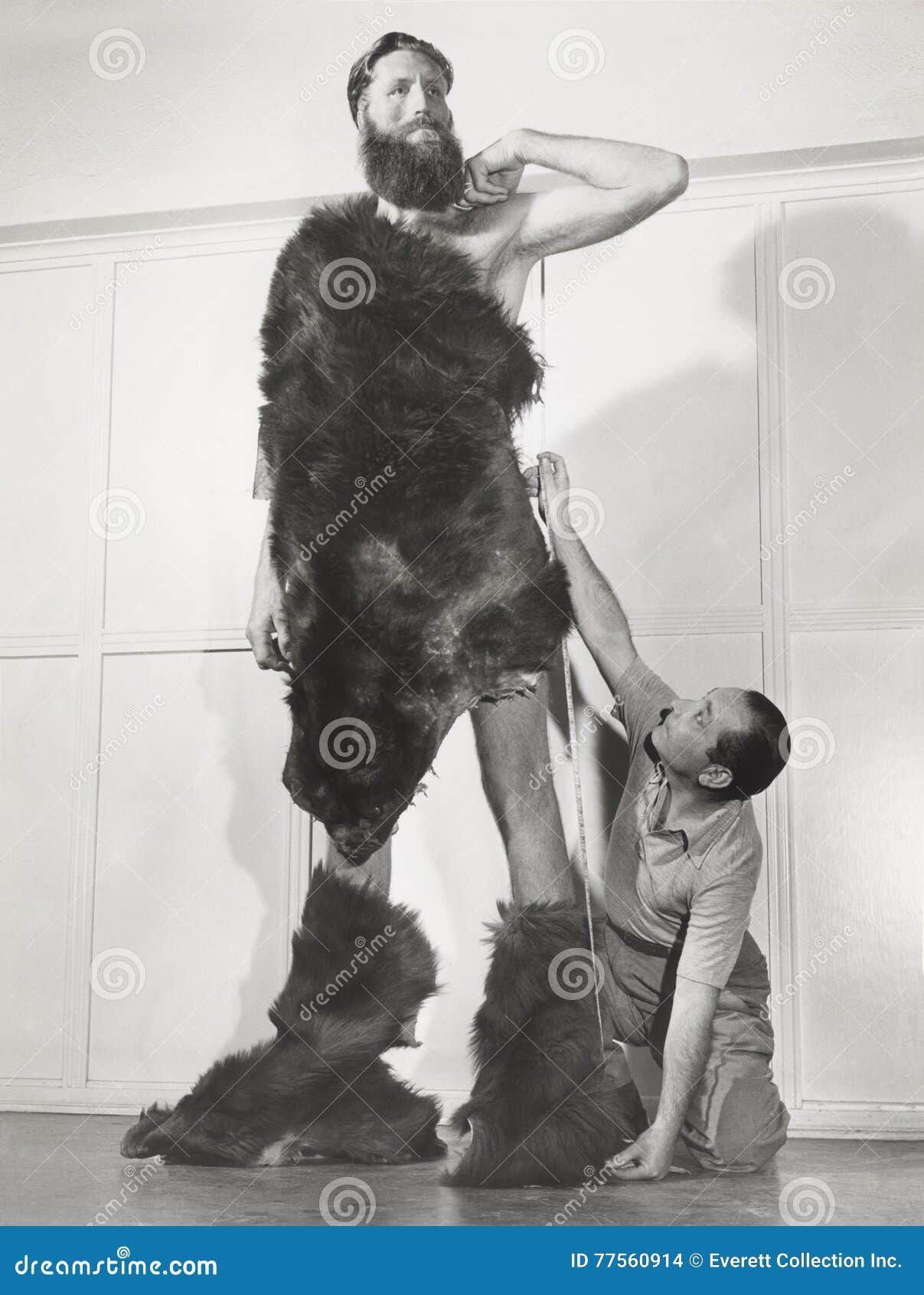 Eight Foot Man Measured for Custom Tailored Fur Suit Stock Photo ...