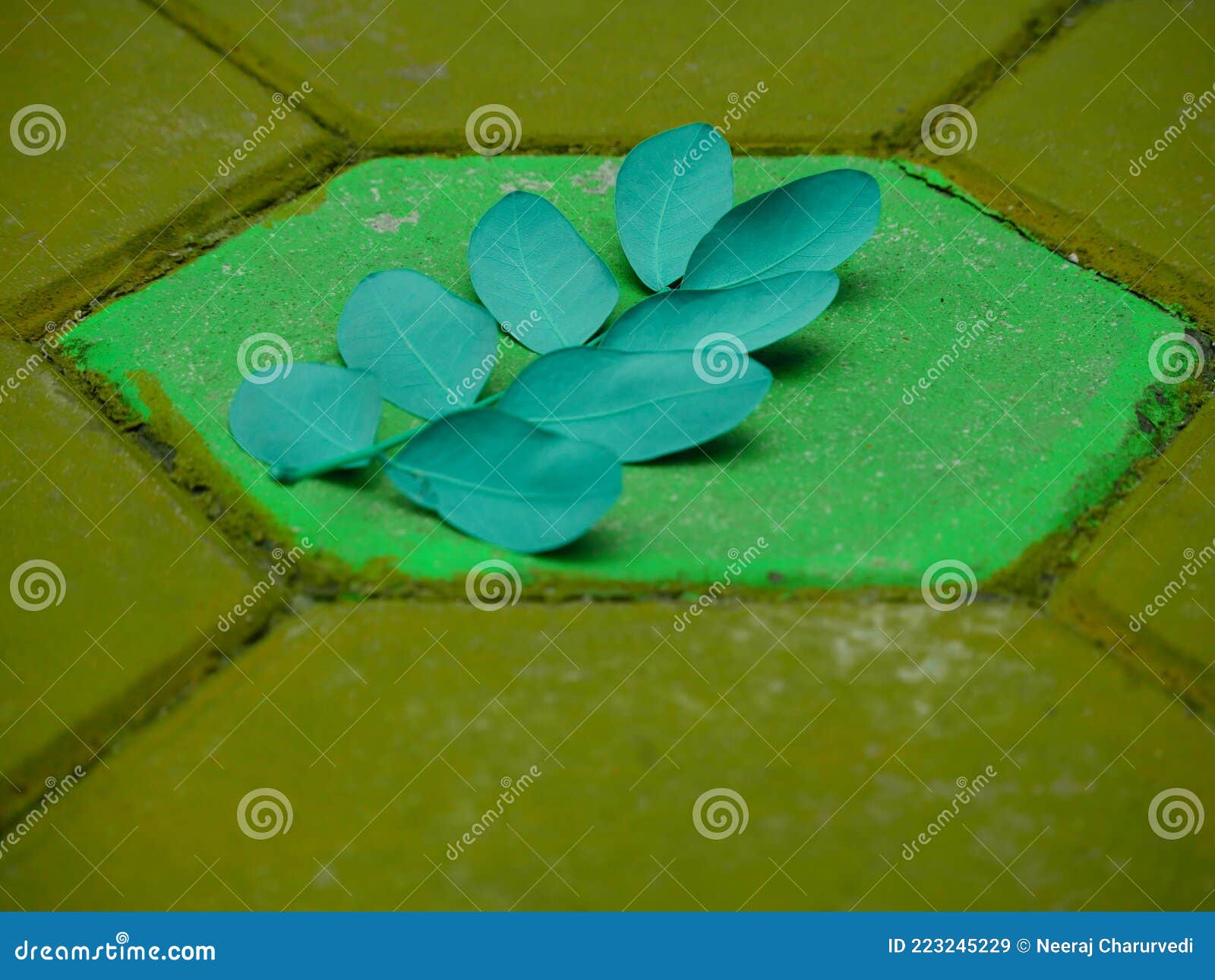 Eight Leaves Pair Natural Theme on Hexagonal Shape Surface Stock Image ...