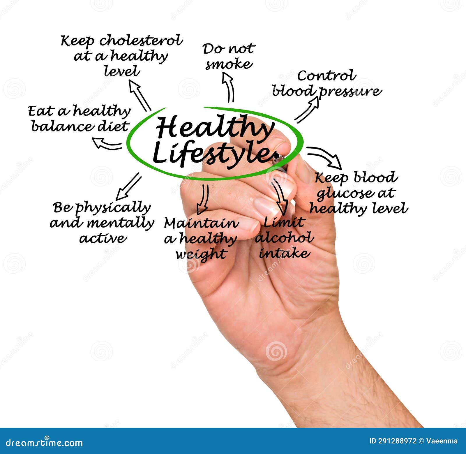 Signs of Healthy Lifestyle stock photo. Image of diagram - 291288972