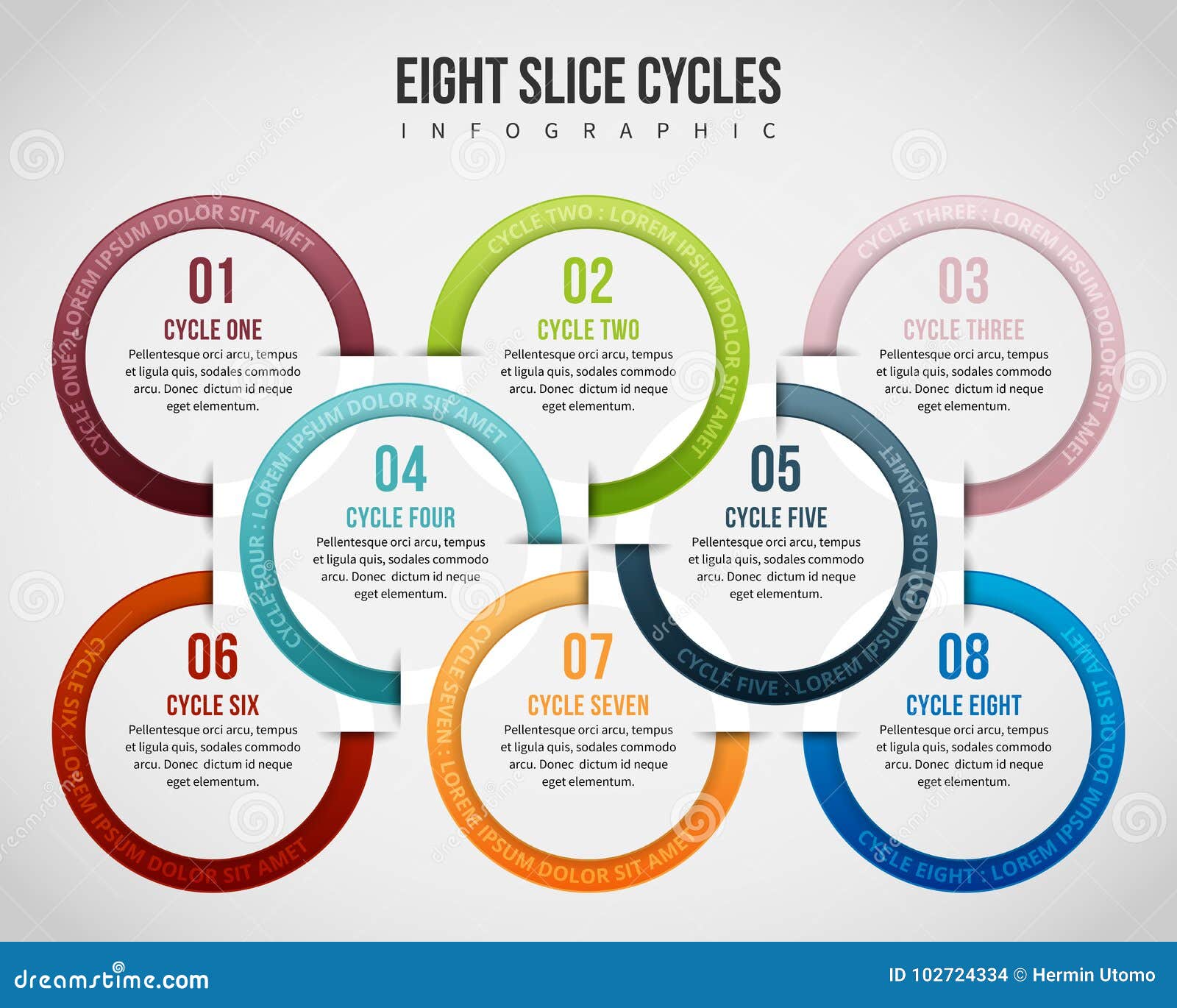 Eight Slice Cycles Infographic Stock Vector - Illustration of ...