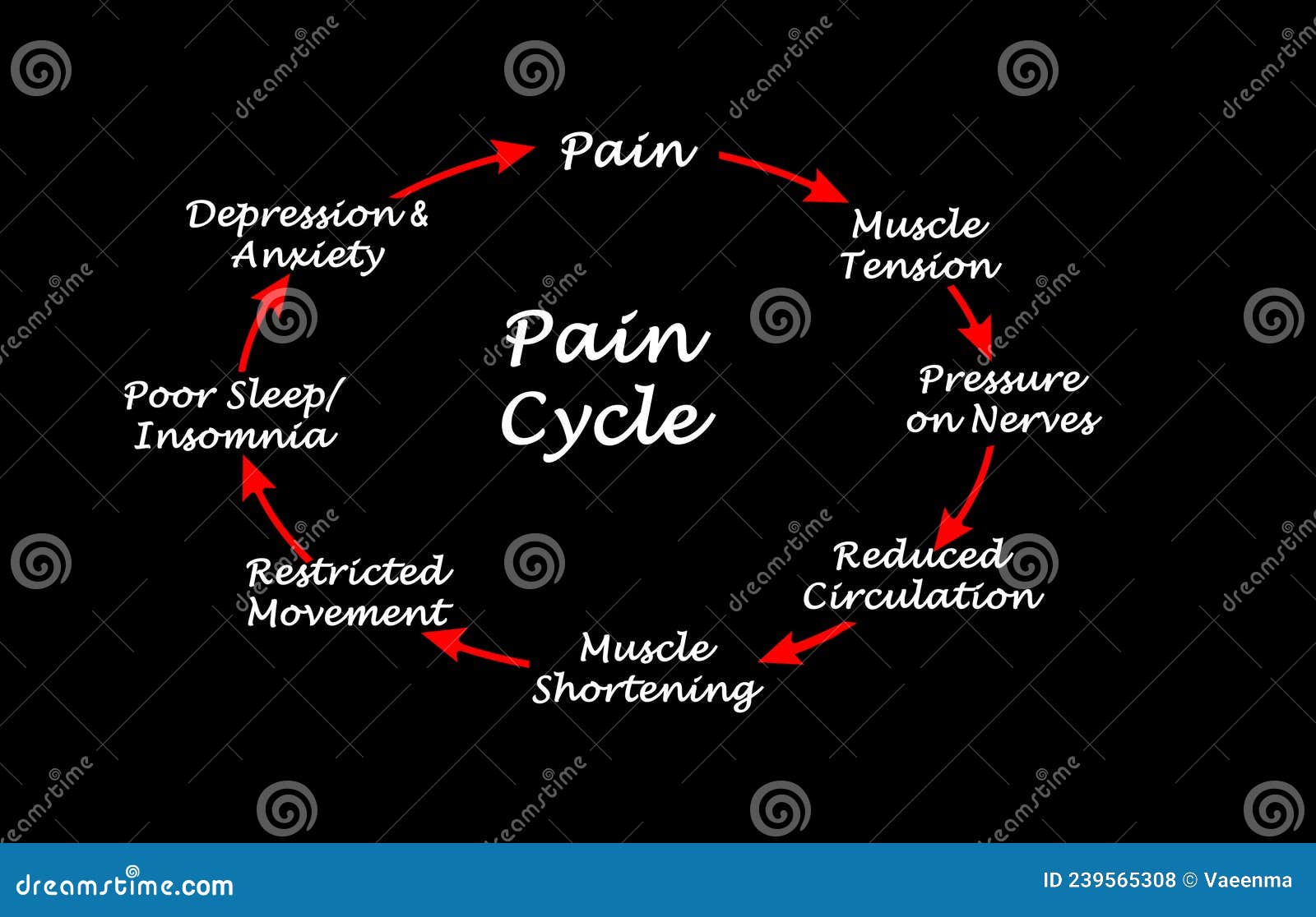 Steps in Cycle of Pain stock illustration. Illustration of nerves ...