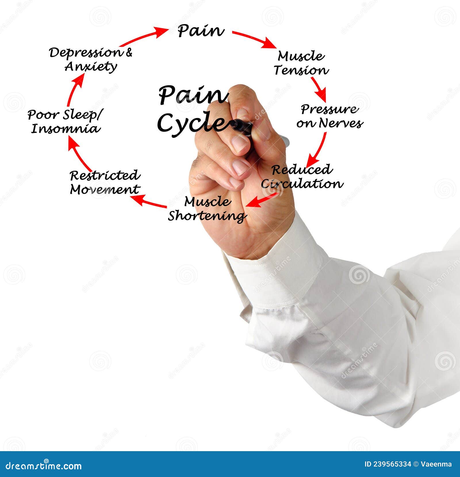 Steps in Cycle of Pain stock photo. Image of tension - 239565334