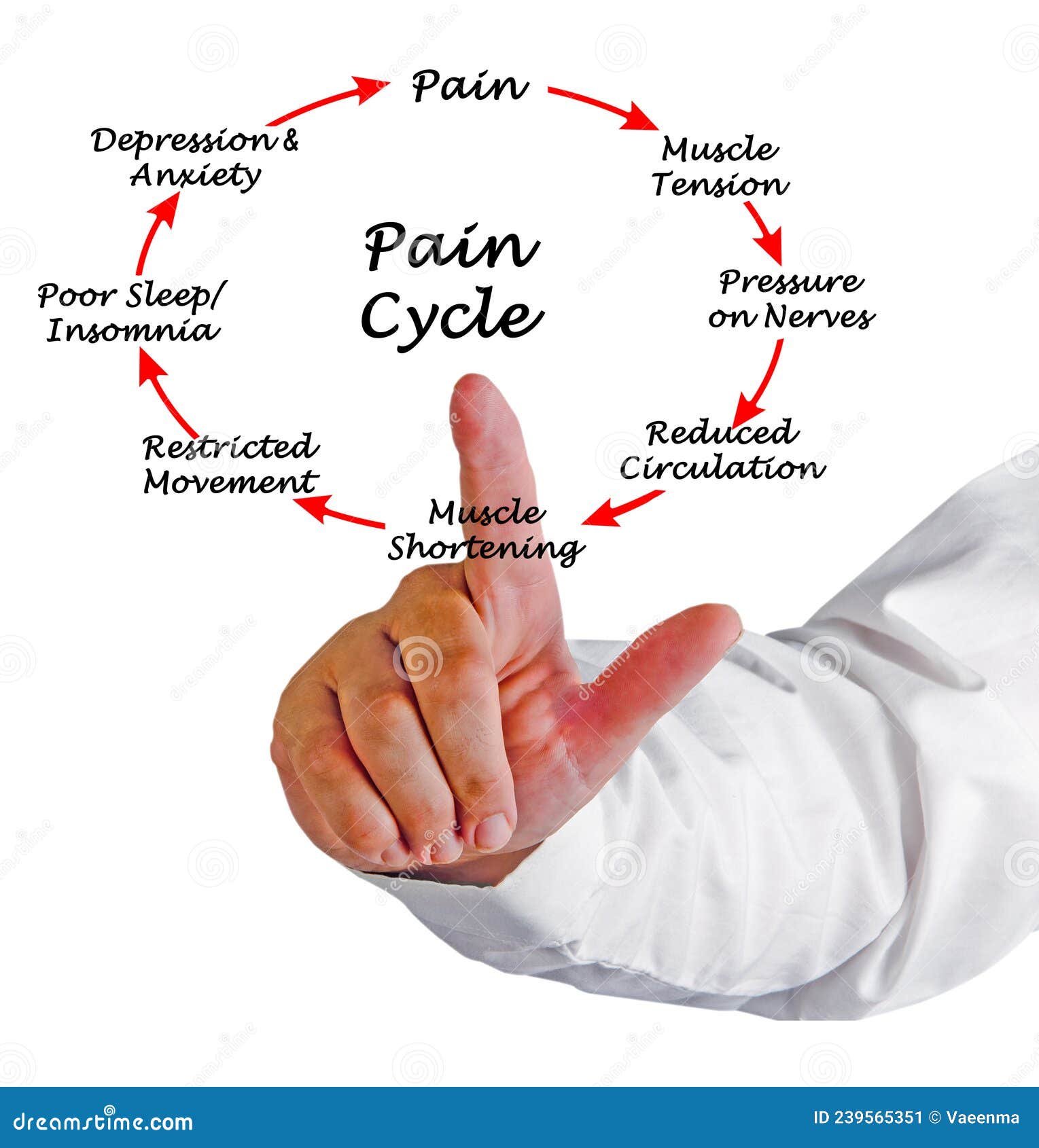 Steps in Cycle of Pain stock image. Image of cycle, person - 239565351