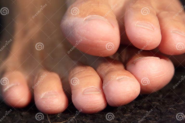 Eight toes stock photo. Image of ethnic, ethnicity, class - 5364402