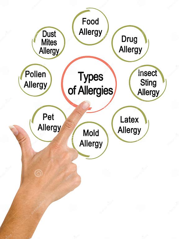 Eight Types of Allergies stock image. Image of woman - 279050545