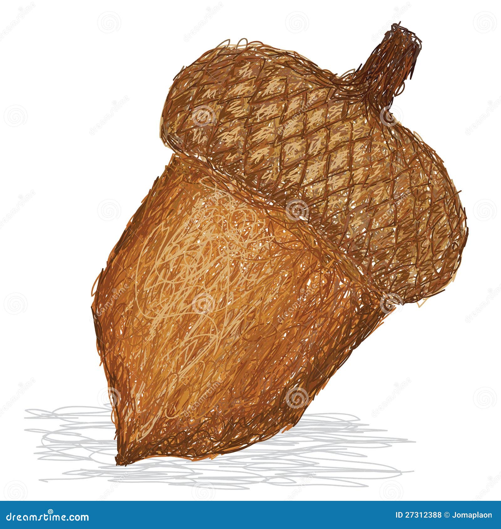 Eikel stock illustratie. Illustration of eikel, textuur - 27312388