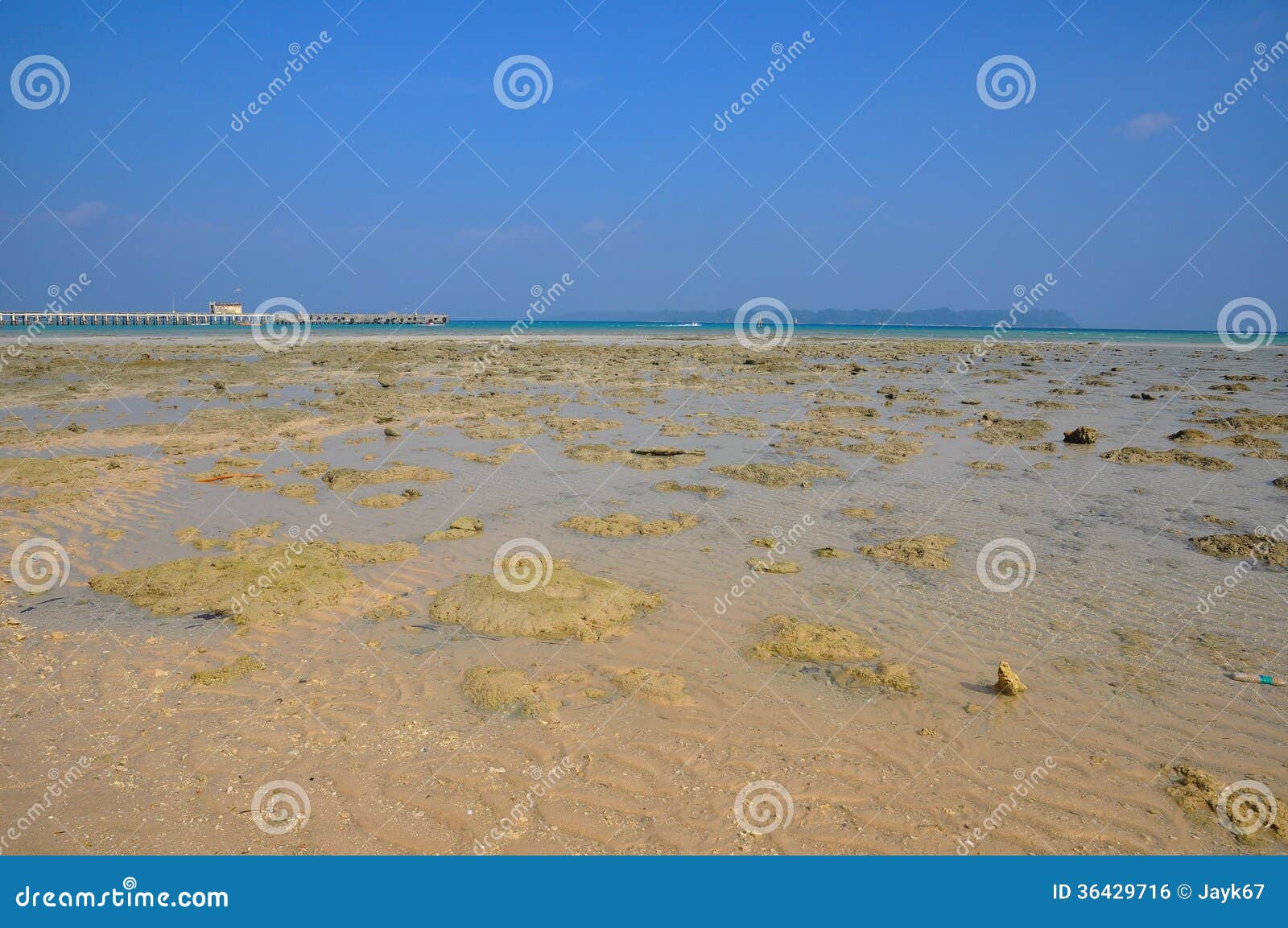 Eilandstrand met koraal stock foto. Image of zand, overzees - 36429716