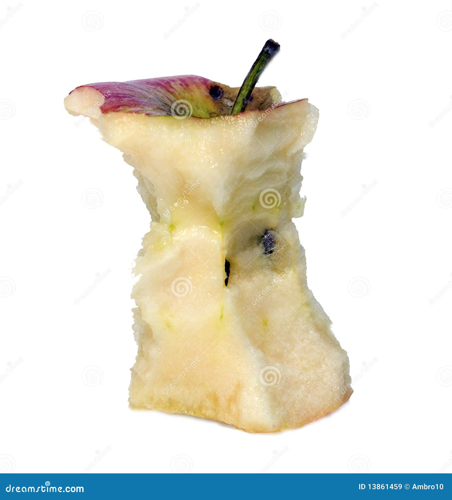 Ein Apfelkern Auf Weißem Hintergrund Stockbild - Bild von leben ...