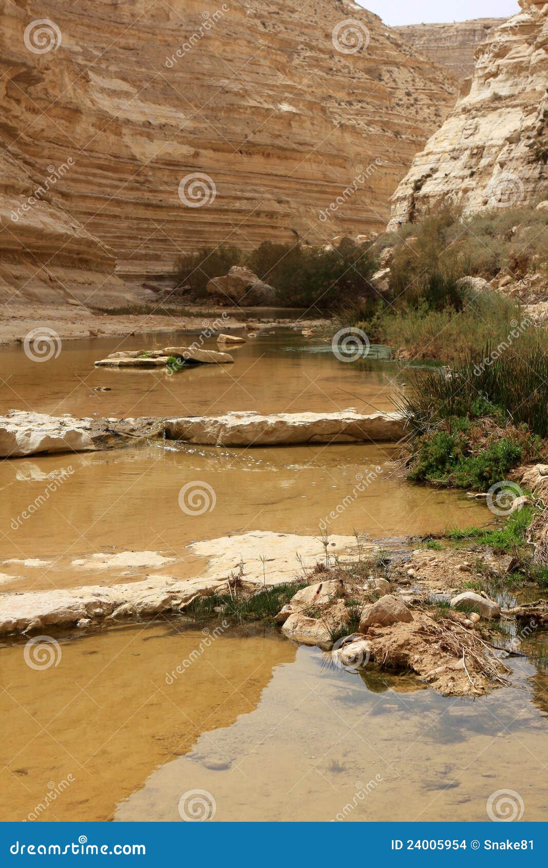 Ein Avdat Canyon, Israel stock photo. Image of avdat - 24005954