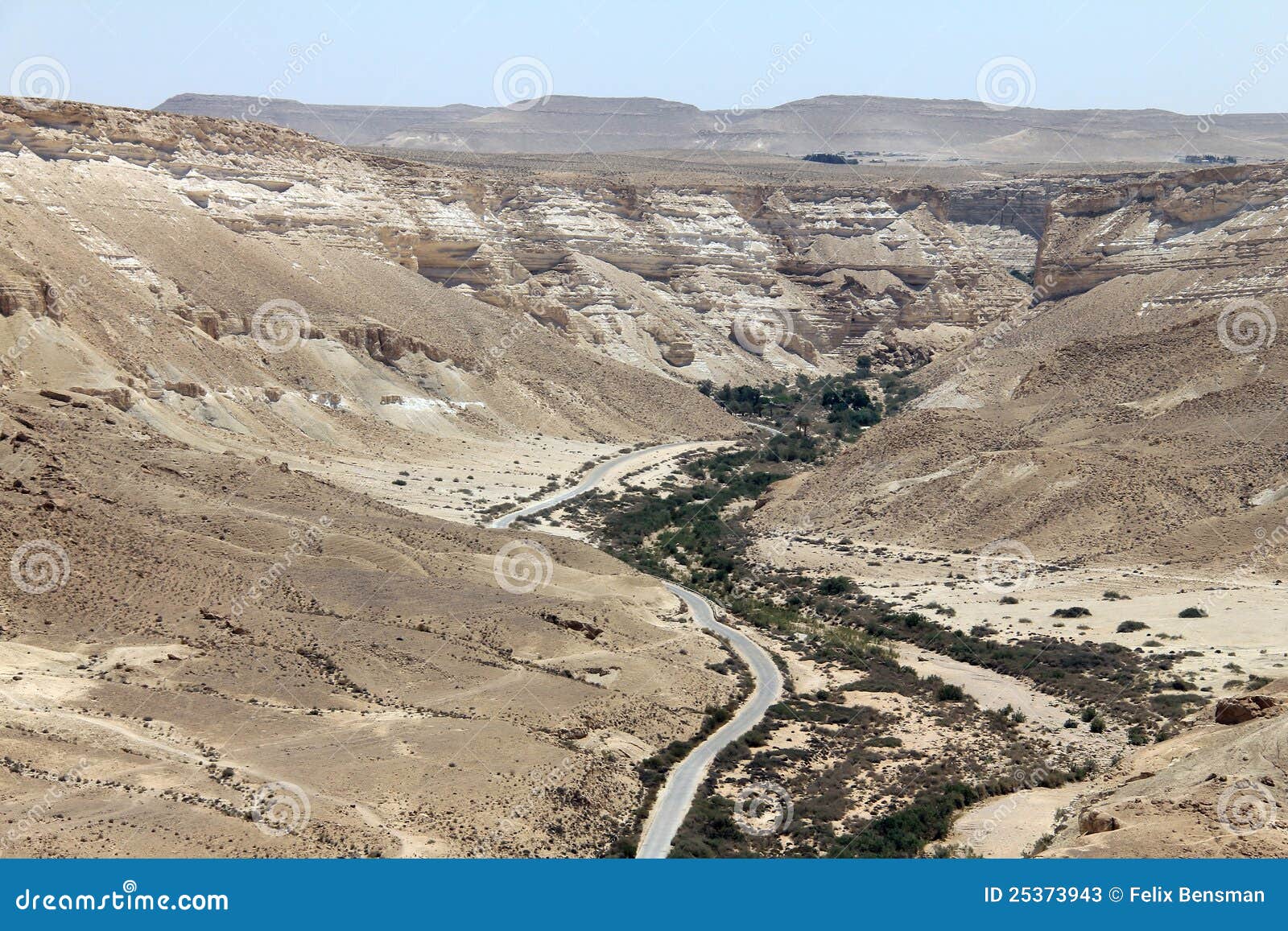 Ein Avdat Canyon. Israel. stock image. Image of scene - 25373943