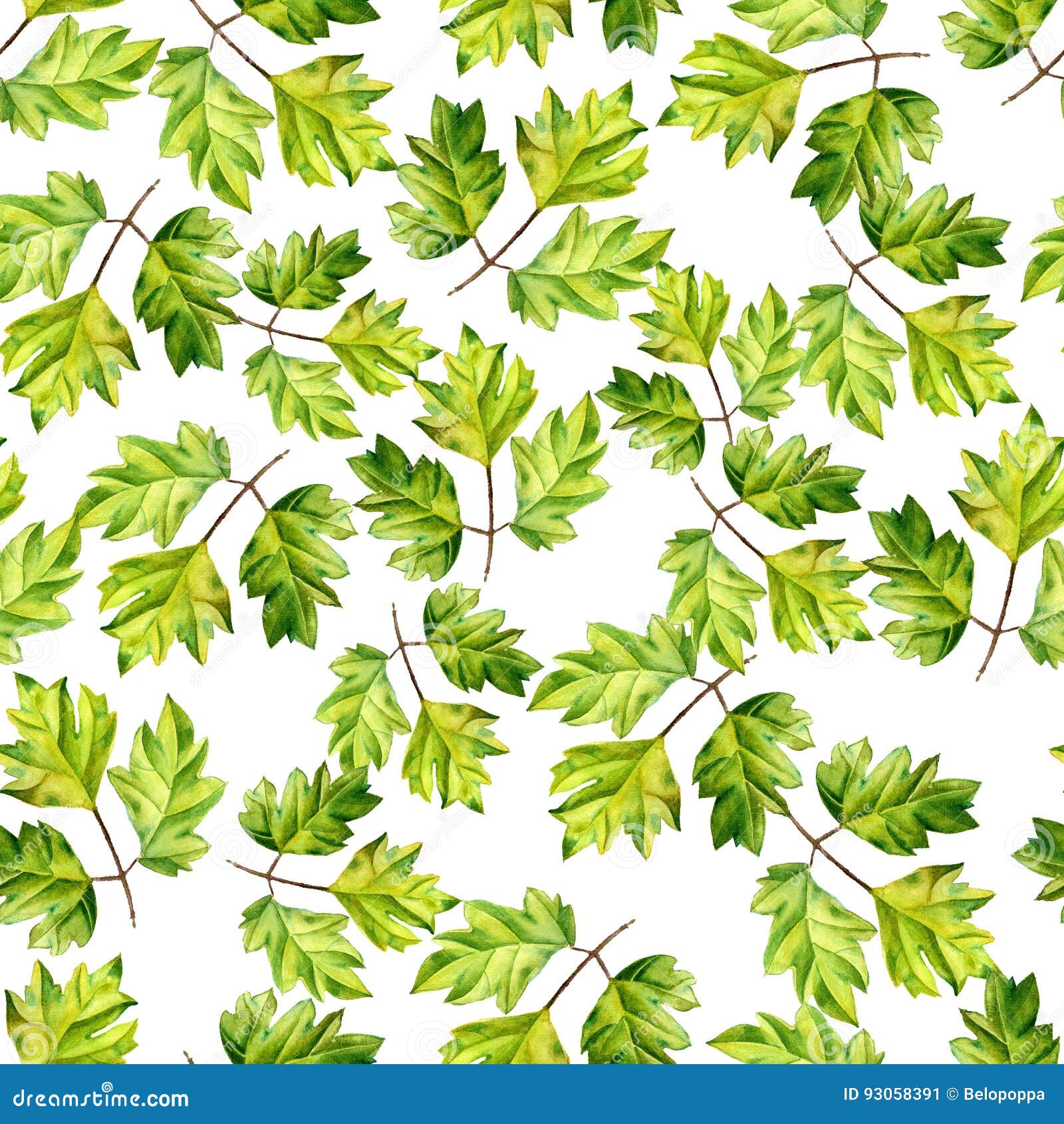 Ein Blatt Einer Tropischen Anlage Ivy Cissu Stock Abbildung ...