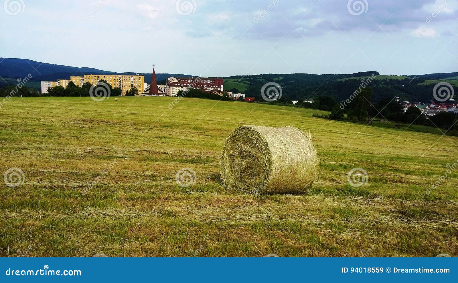 Ein Feld Mit Garbe Heu, Bardejov, Slowakei Stockbild - Bild von wald ...