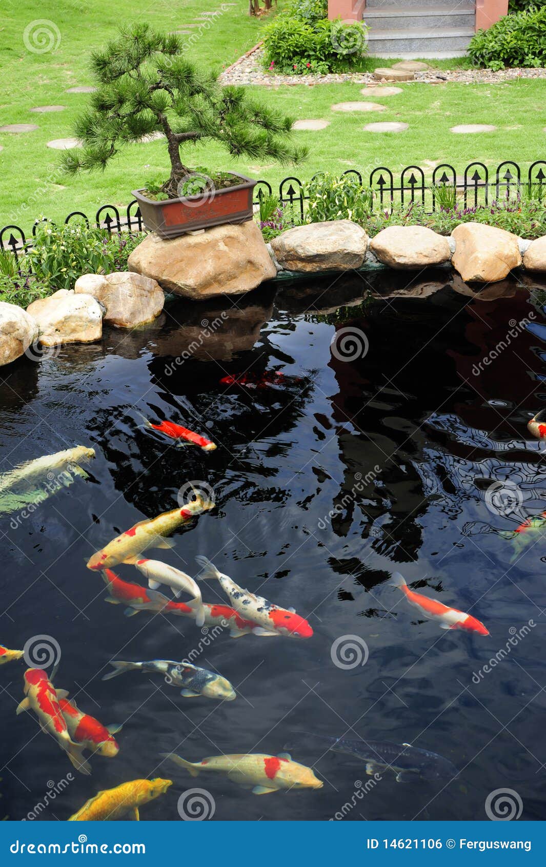 Ein Fischteich im Garten stockfoto. Bild von taucherlunge - 14621106