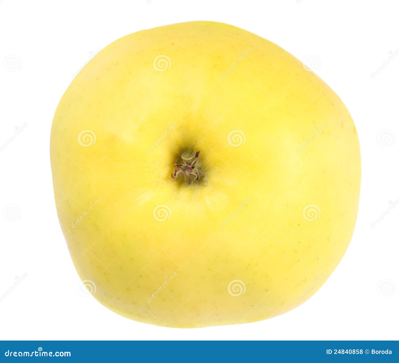 Ein frischer gelber Apfel stockfoto. Bild von ernten - 24840858