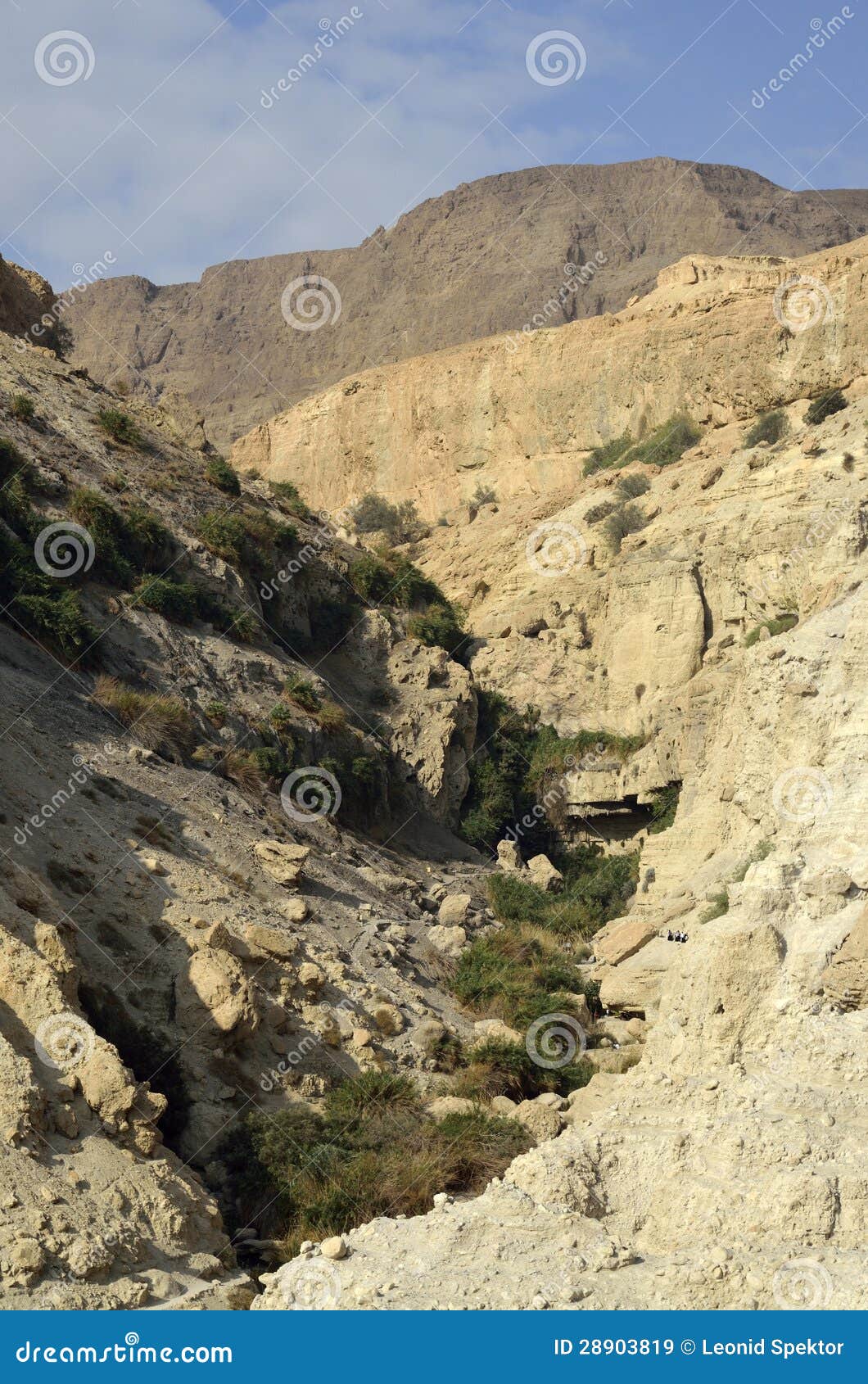 Ein Gedi Gorge in Judea Desert. Stock Image - Image of arid, rocks ...