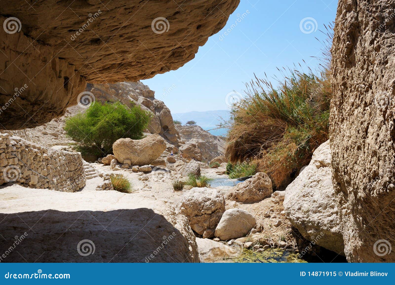 Ein Gedi Nature Reserve (Israel) Stock Image - Image of people, outdoor ...