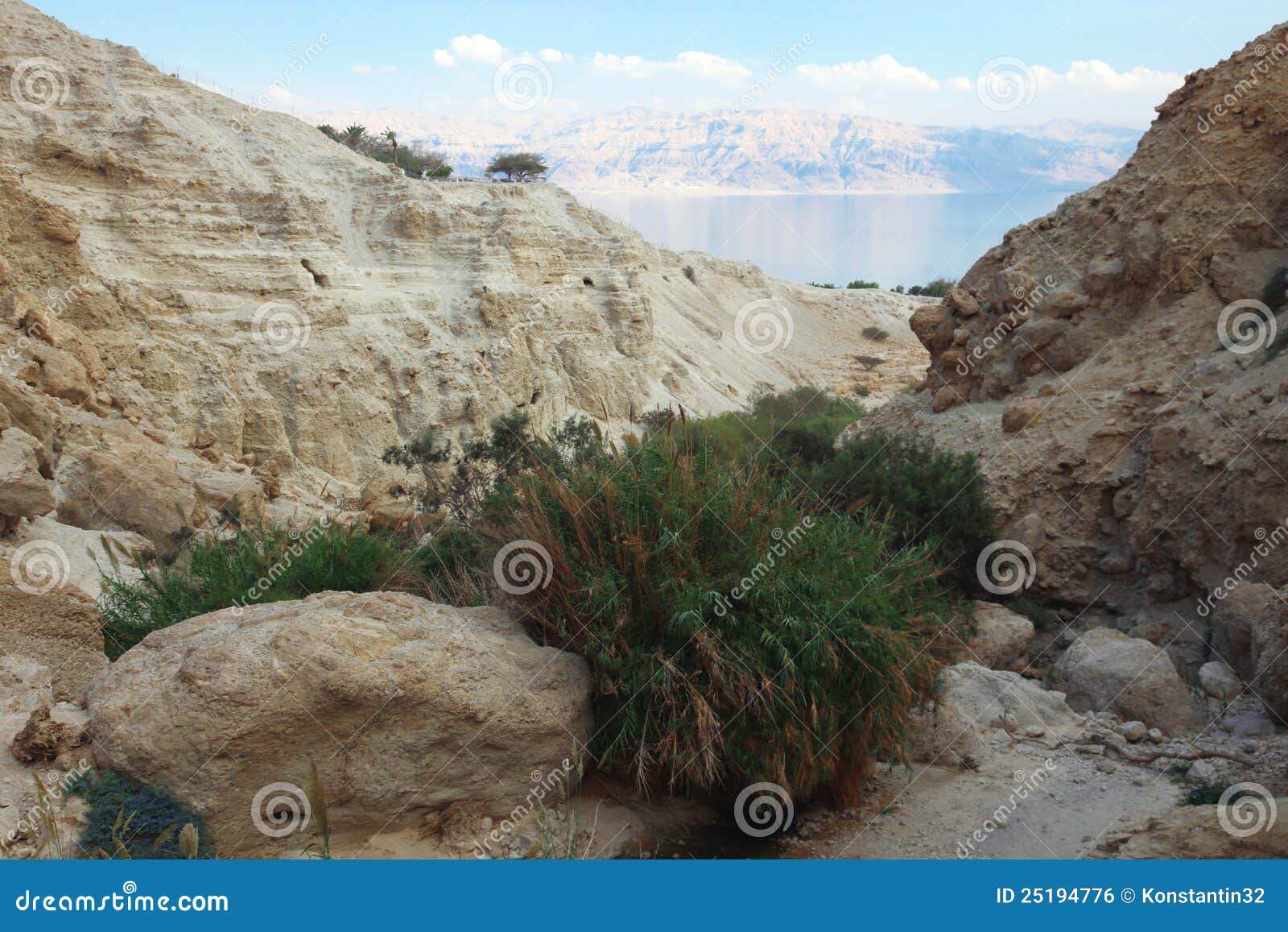 Ein Gedi oasis in Israel stock photo. Image of view, oasis - 25194776
