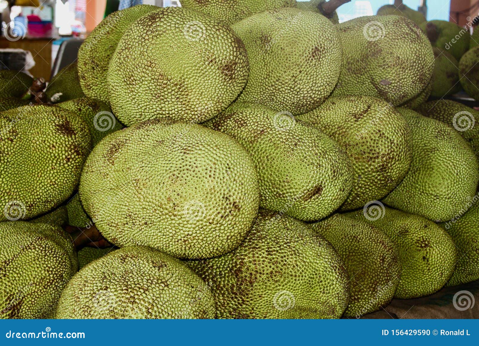 Ein Haufen Jackfrucht Auf Dem Markt Stockfoto - Bild von markt ...