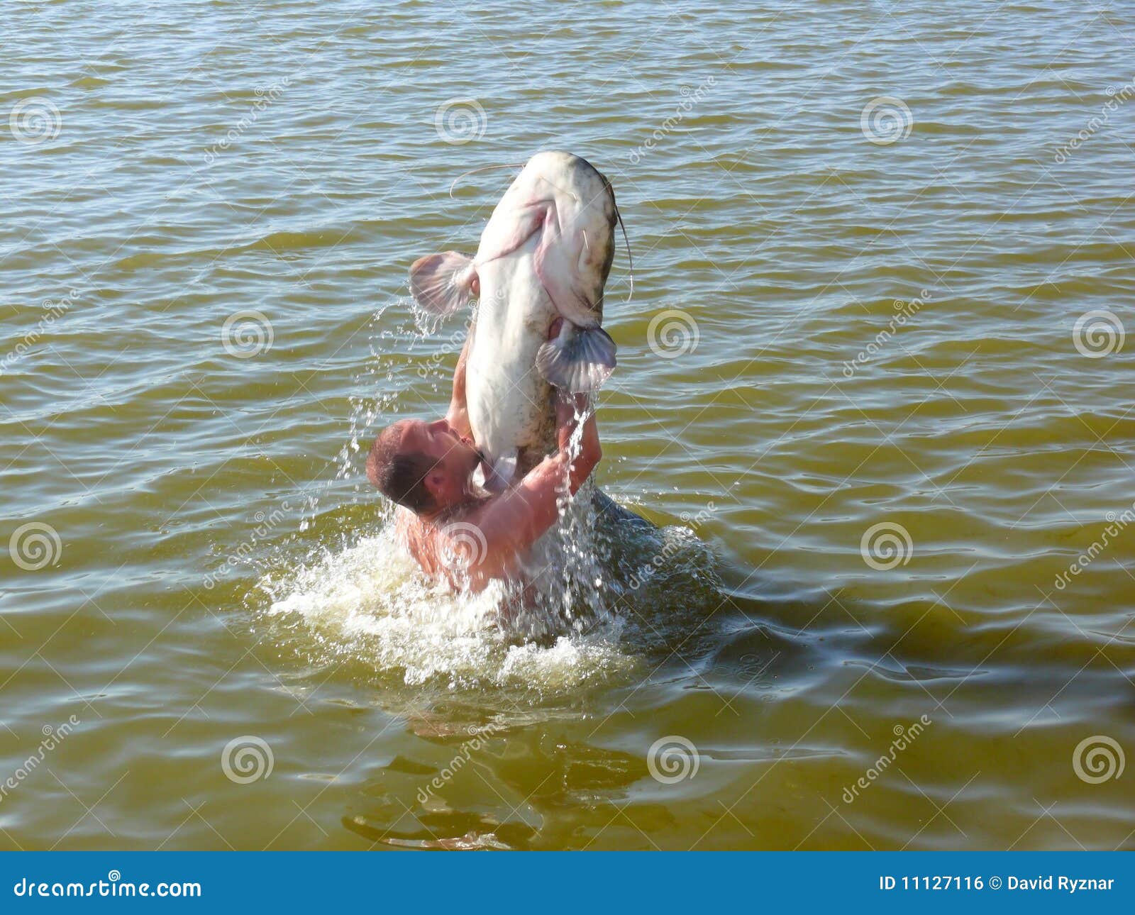 Ein Mann mit einem Wels stockfoto. Bild von jagd, landschaft - 11127116