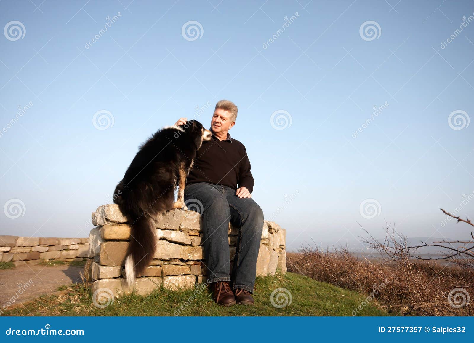 Ein Mann und sein Hund stockbild. Bild von tier, gras - 27577357