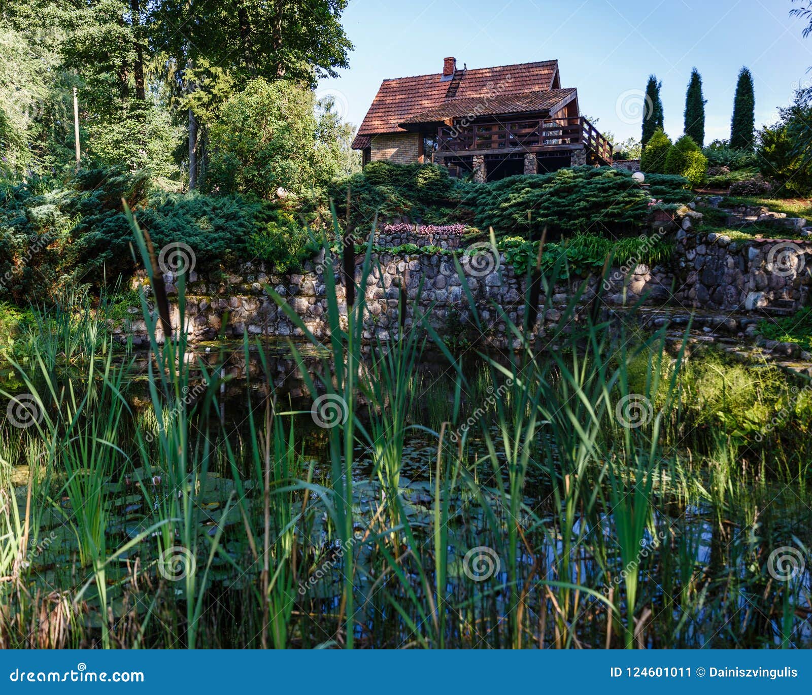 Ein Teich Mit Wasserpflanzen, Das Ufer Wird Mit Steinen Gemacht ...