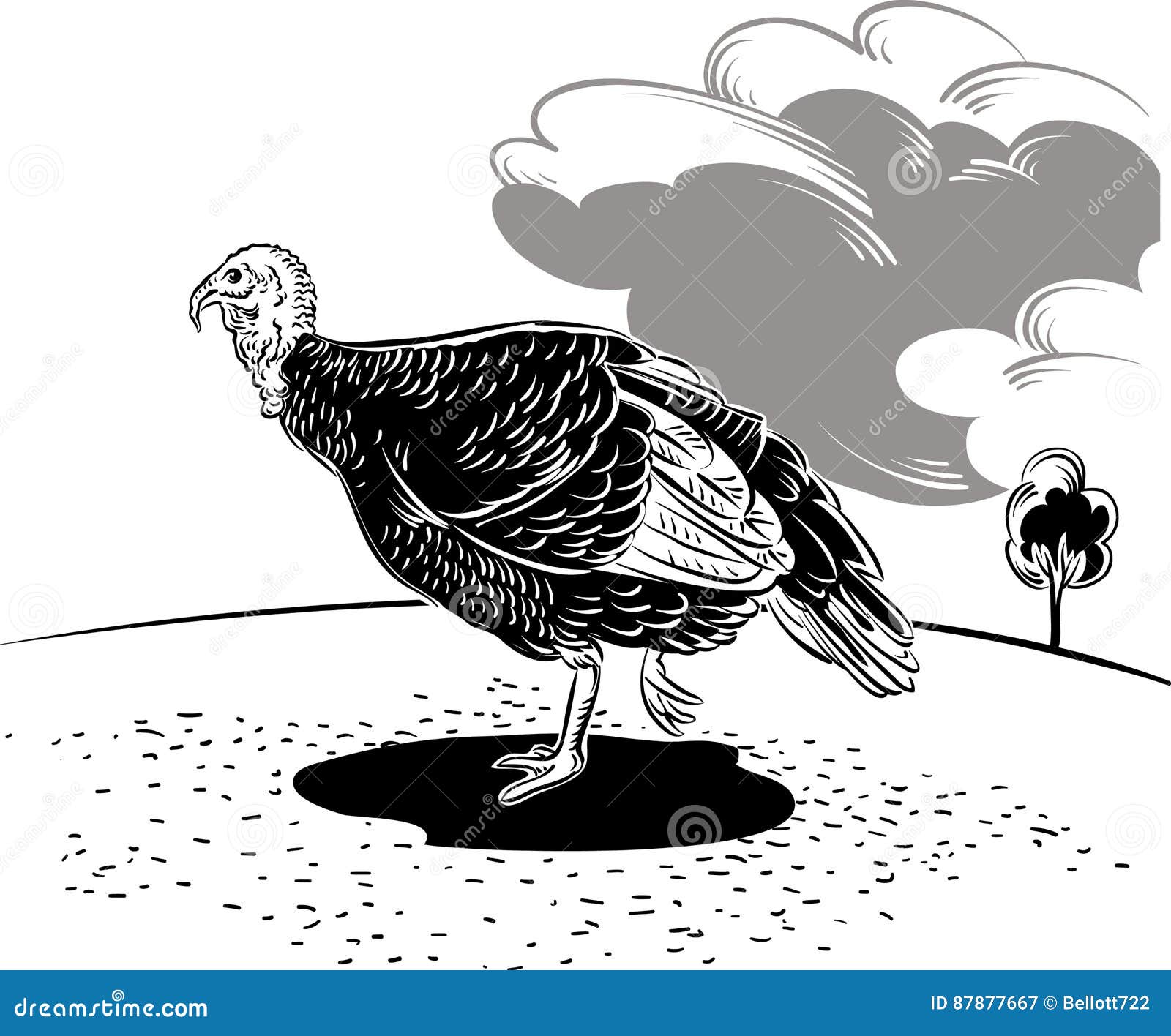 Ein weiblicher Truthahn stock abbildung. Illustration von bauernhof ...