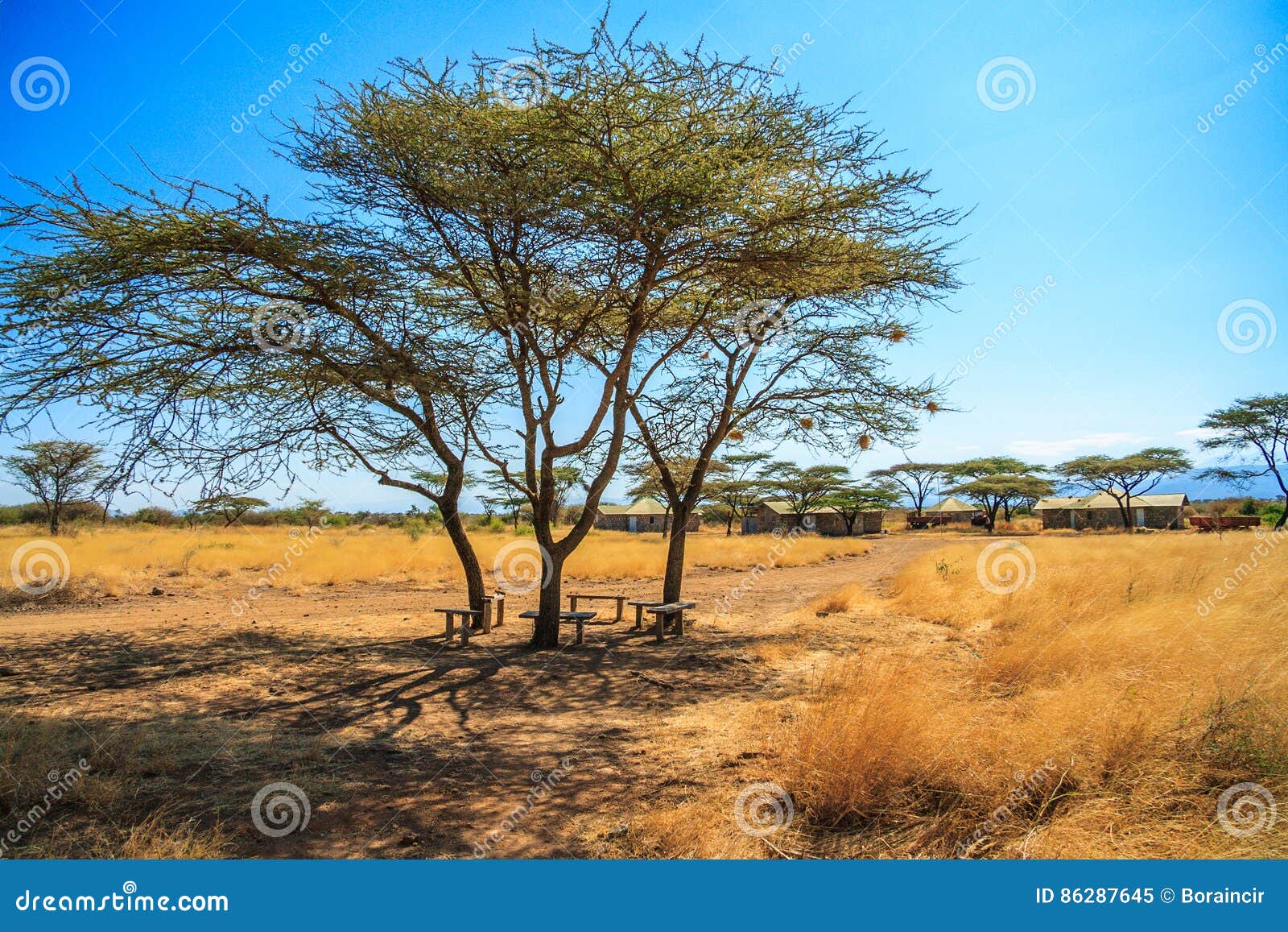 Eine Ansicht Der Afrikanischen Savanne Stockbild - Bild von staubig ...